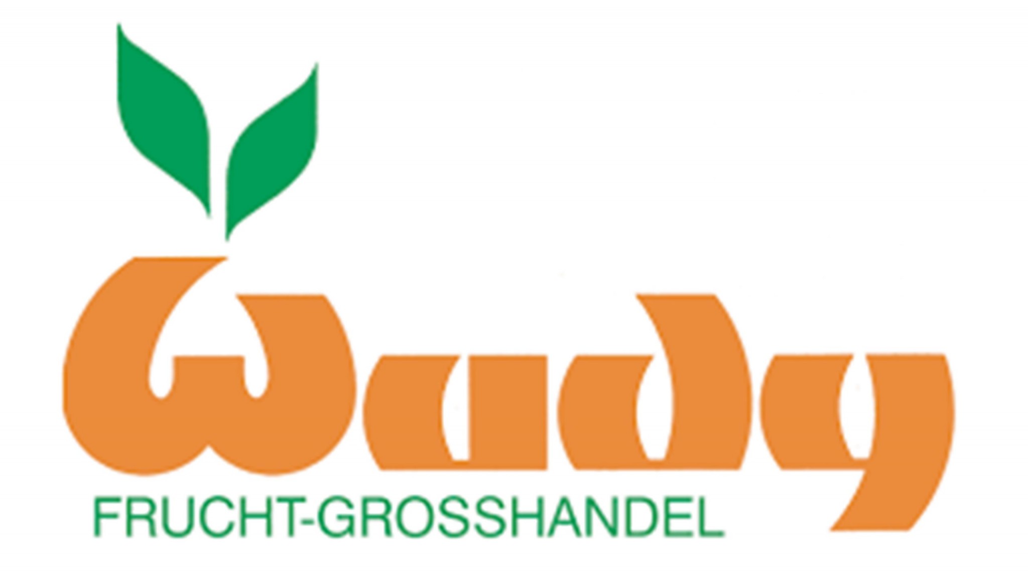 Fritz Wudy GmbH & Co. KG - FC 1920 Gundelfingen e.V.